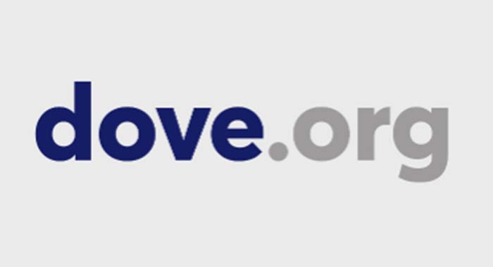 Dolphin Kick | Epic Pictures